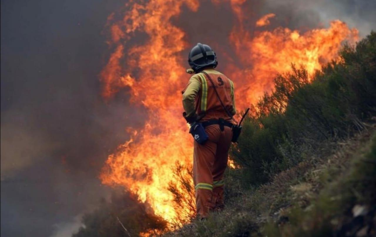 16 Incendios Forestales Consumen 172 Mil Hectáreas En 11 Municipios De