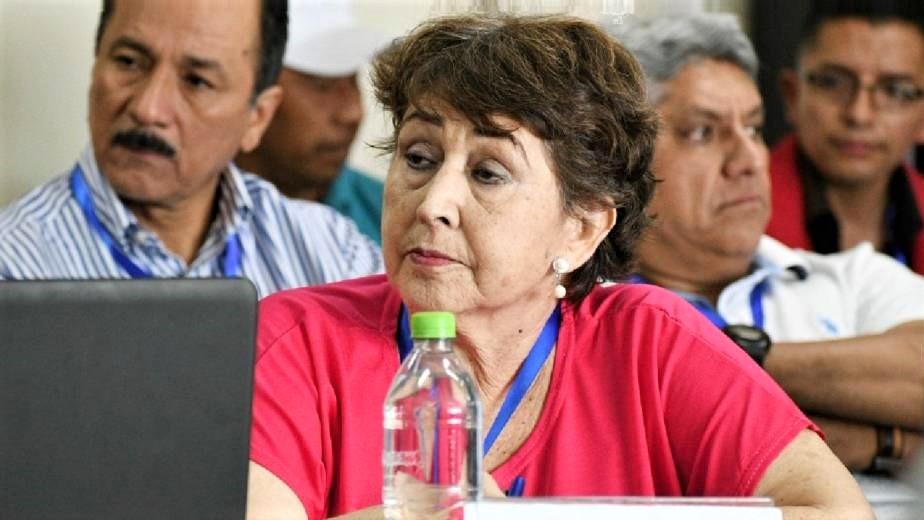 "Estamos empantanados": Melvy Vargas ve falta de voluntad del INE para ...
